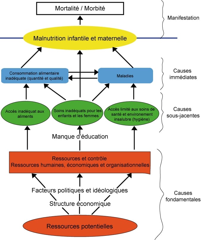 Malnutrition infantile et alimentation des enfants - UNICEF