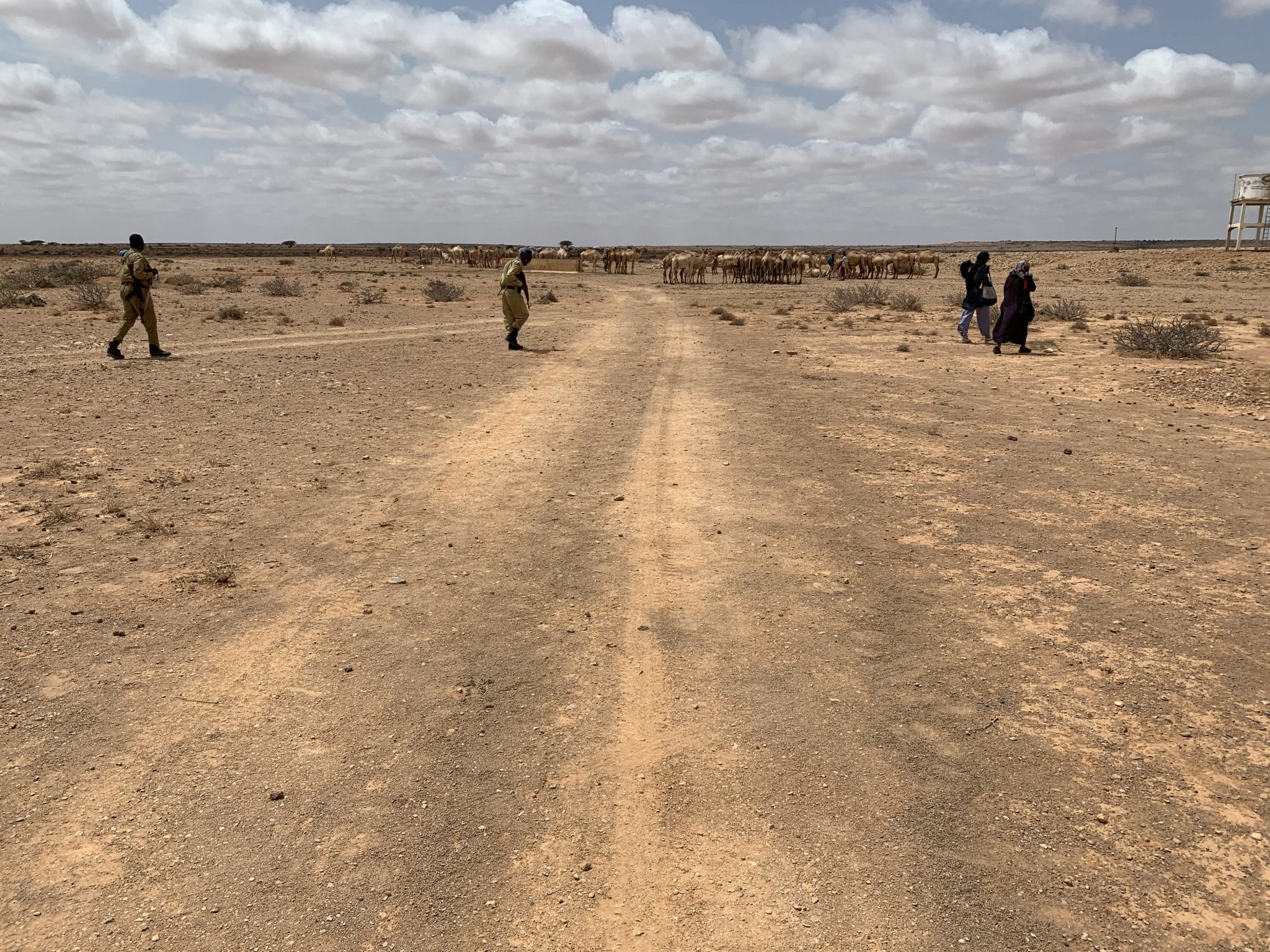 Urgence climatique en Somalie : le cri silencieux des enfants - UNICEF